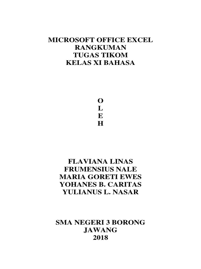 Microsoft Office Excel | PDF