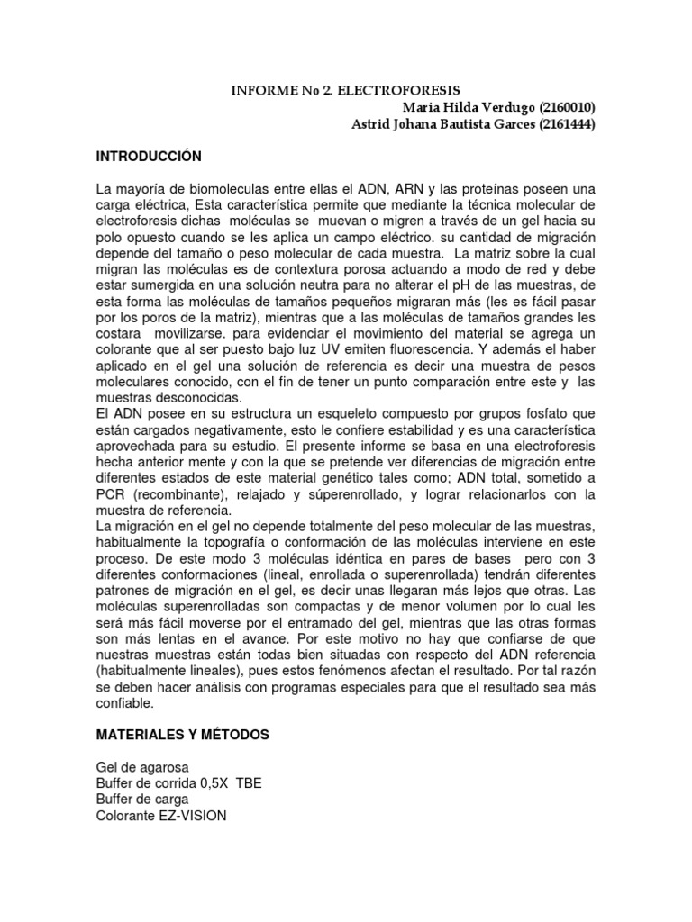Informe Electroforesis | PDF | Electroforesis | Plásmido