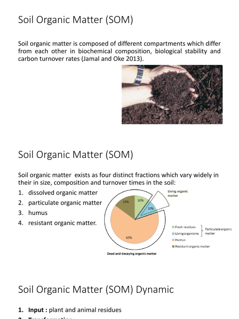 Dynamics of Soil Organic Matter | PDF | Organic Matter | Soil