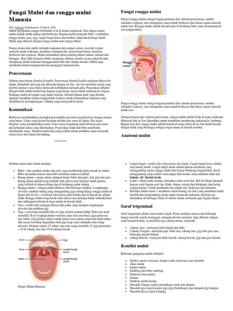 Fungsi Mulut Dan Rongga Mulut Manusia | PDF