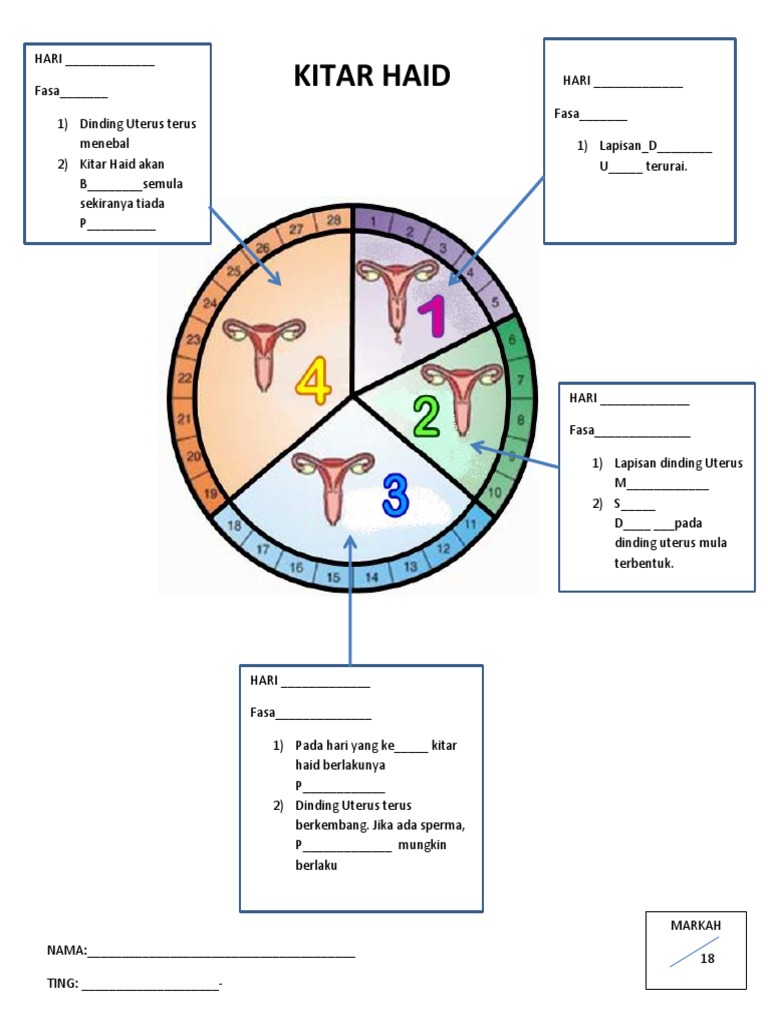 Nota Catatan Kerja Kitaran Haid | PDF