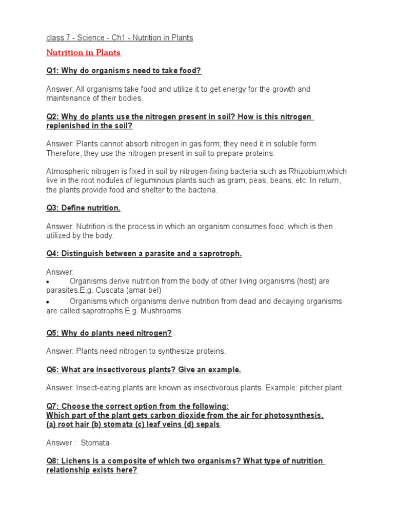 Class 7 Science MCQS | PDF | Digestion | Plants