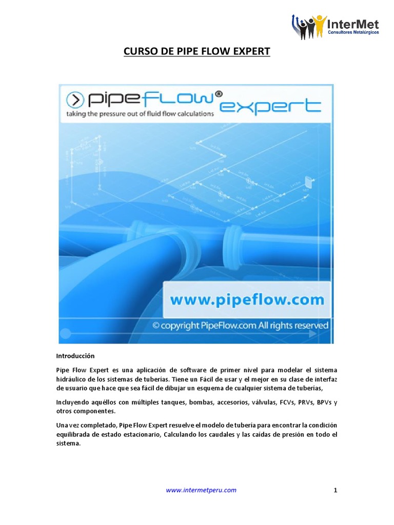 Pipe Flow Expert | PDF | Point And Click | Pump