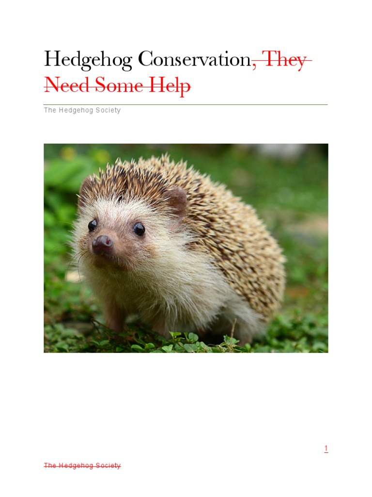 Hedgehog Conservation:, They Need Some Help | PDF | Hedge | Endangered ...