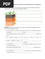 Sopa de Letras de Clases de Suelos | PDF