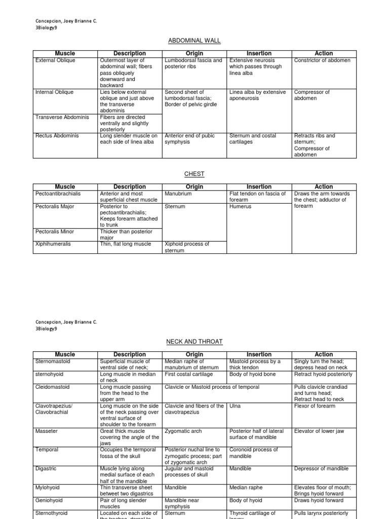 Lumbodorsal Fascia Cat