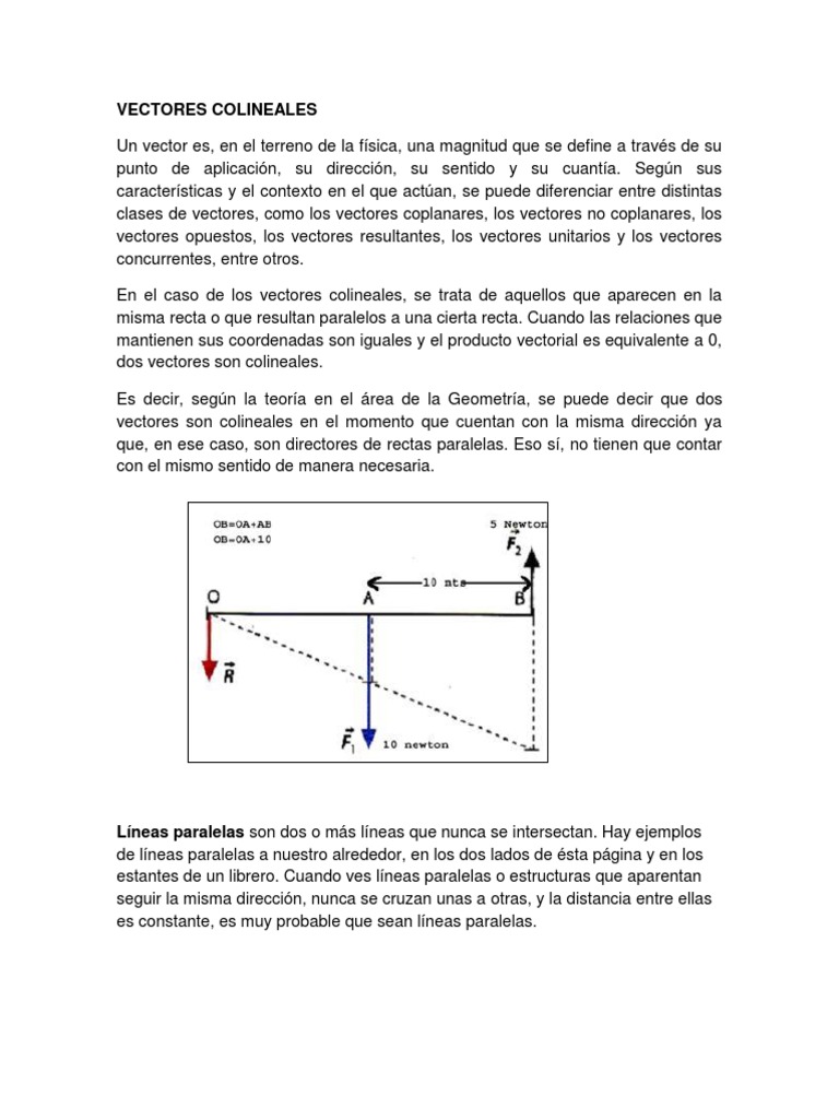 Vectores Colineales | PDF
