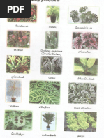 Grade 7 English Second Term Test Paper With Answers | PDF