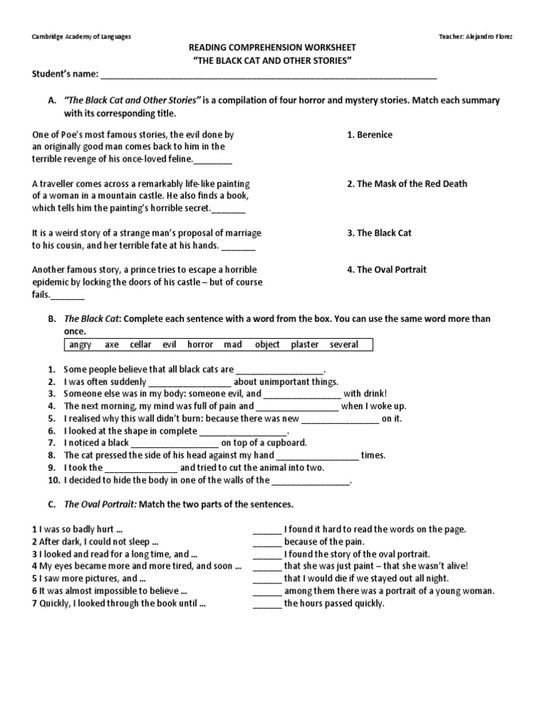 READING COMPREHENSION WORKSHOP-The Black Cat | PDF