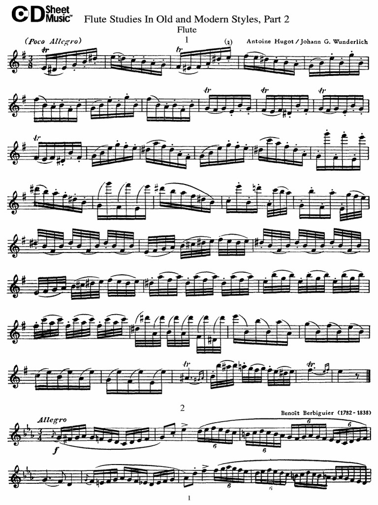 Flute Studies in Old and Modern Styles PDF | PDF