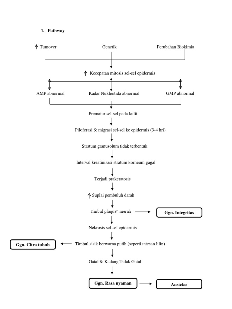 Pathway Psoriasis 1 | PDF | Skin | Integumentary System