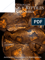 Rana Nodriza Niputidea (Allobates Niputidea) NaturaLista Colombia | PDF