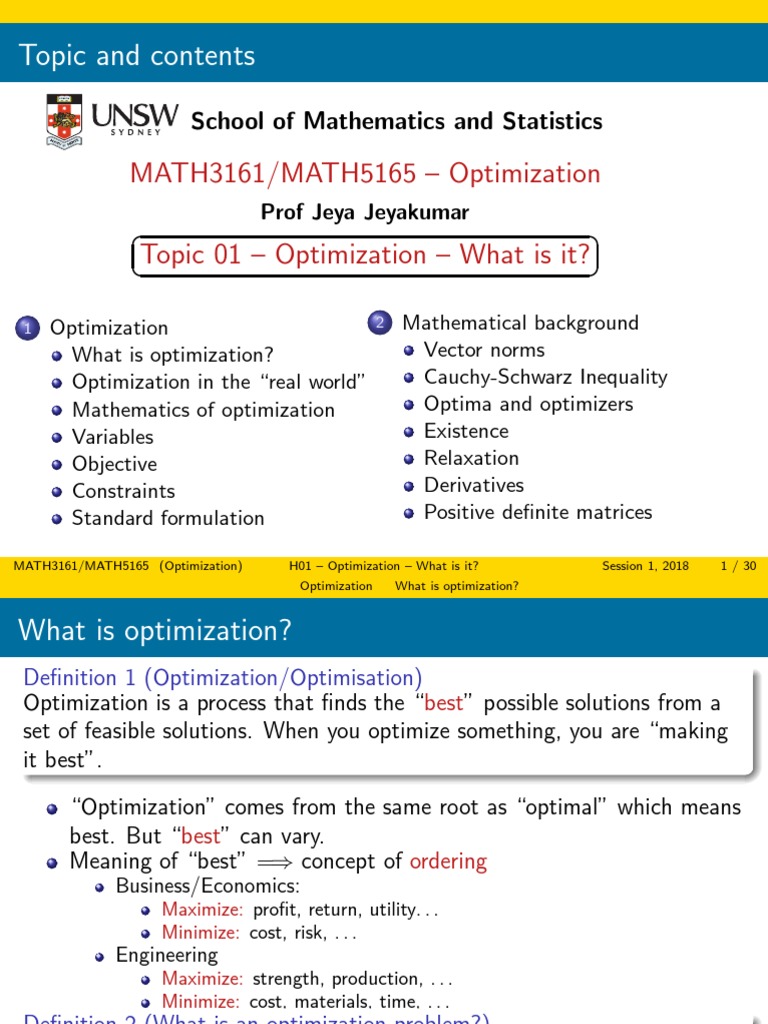 MATH3161 Unsw | PDF | Maxima And Minima | Mathematical Optimization