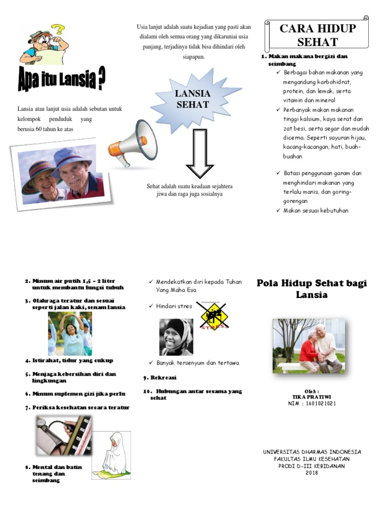 Leaflet Pola Hidup Sehat | PDF