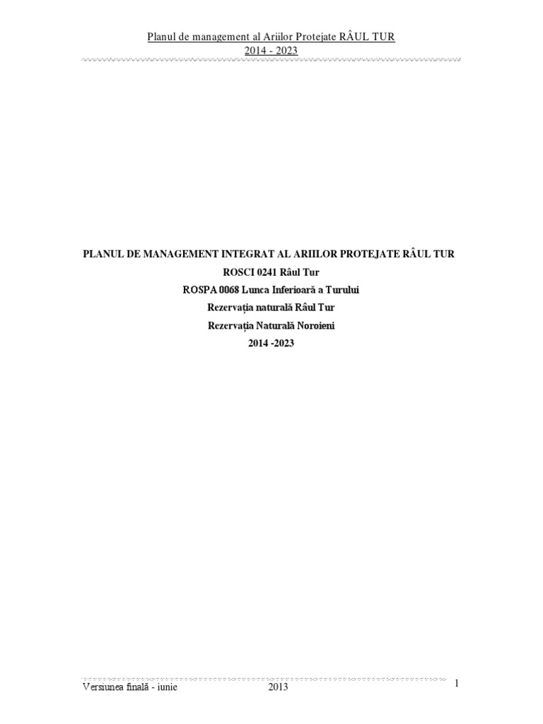 Plan Management Raul Tur | PDF