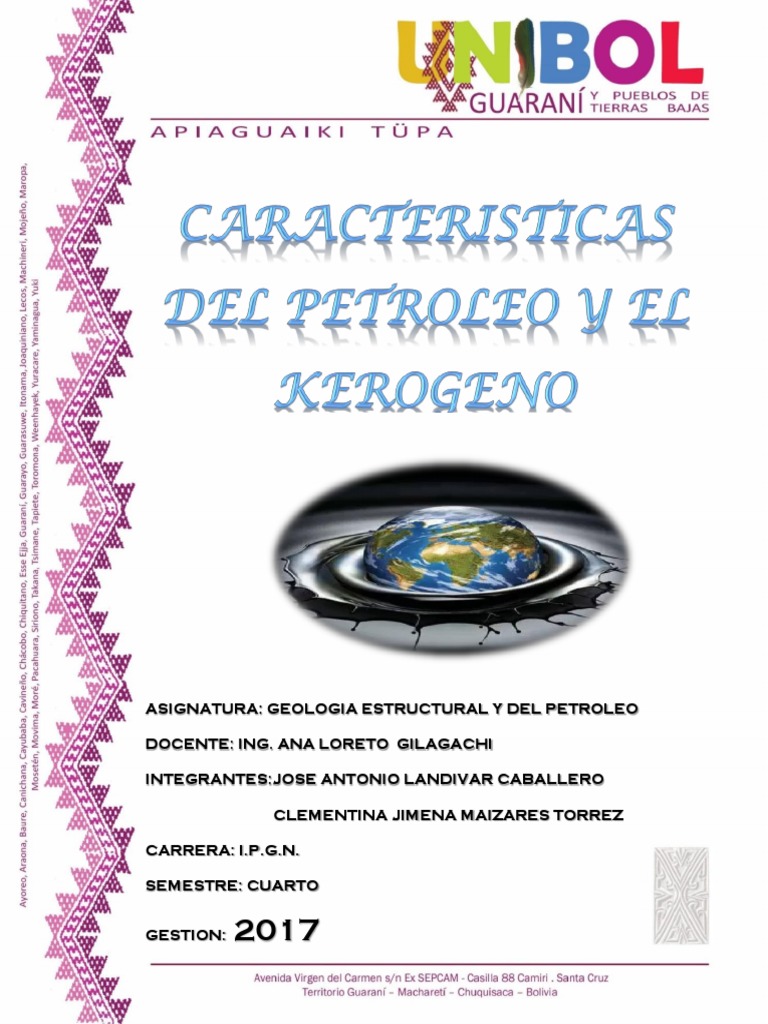 Informe de Caract. Del Petroleo y Kerogeno | PDF | Petróleo | Materiales