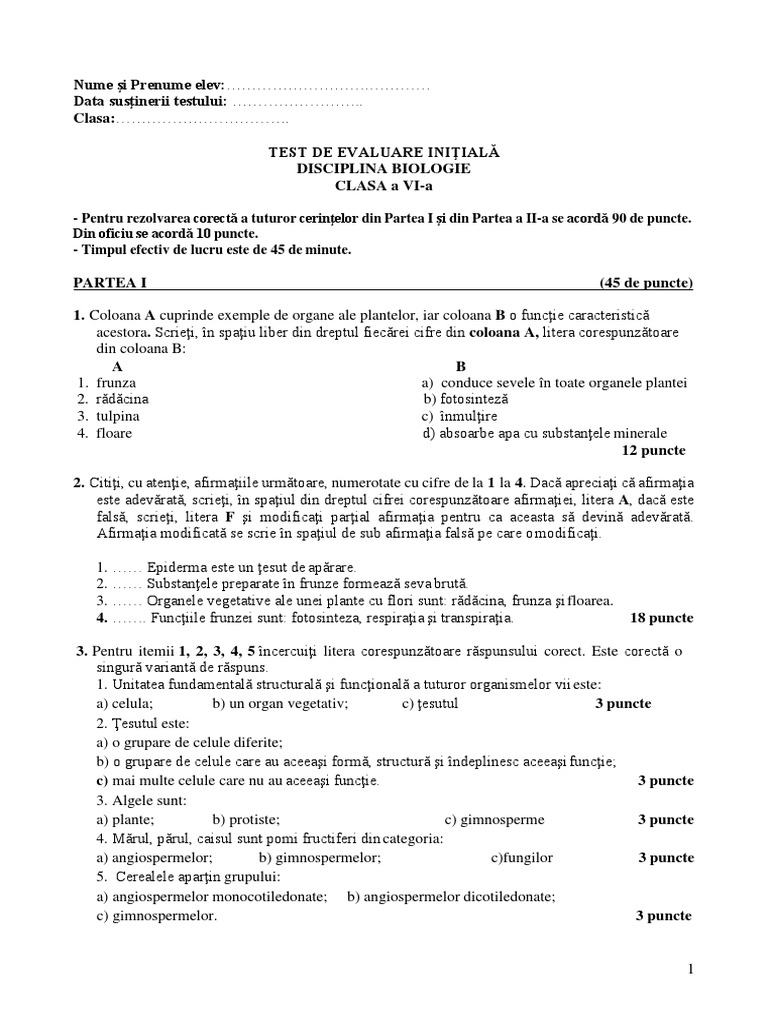 Test Initial Clasa A VI-A | PDF