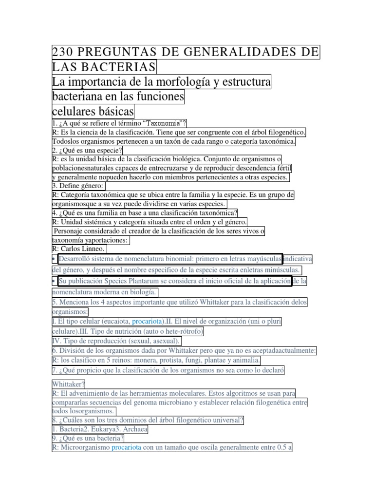 Bacterio Preguntas y Respuestas | PDF | Las bacterias | Bacterias Gram ...