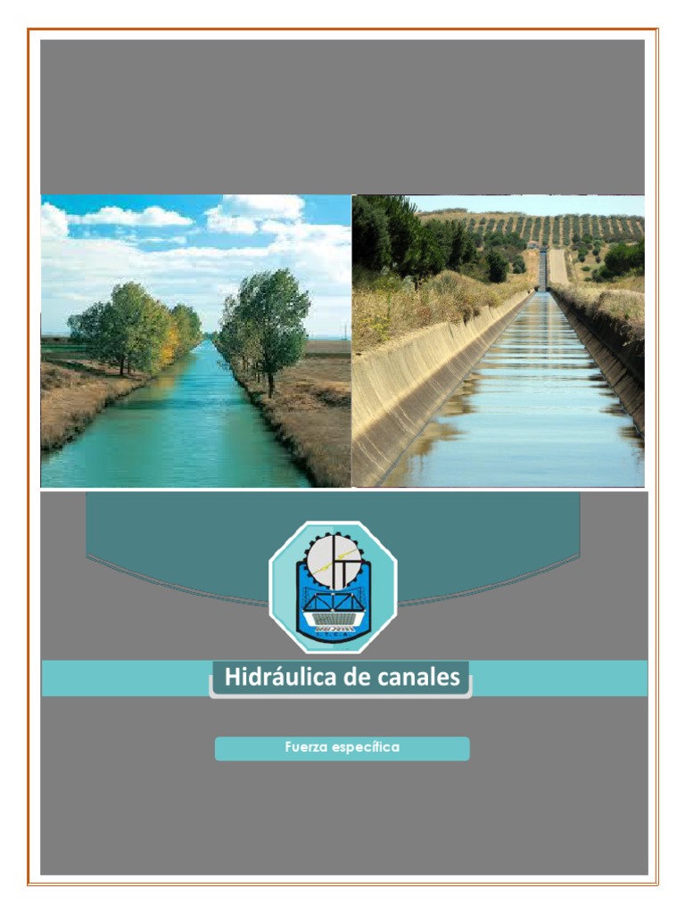 Fuerza Especifica | PDF | Impulso | Fuerza