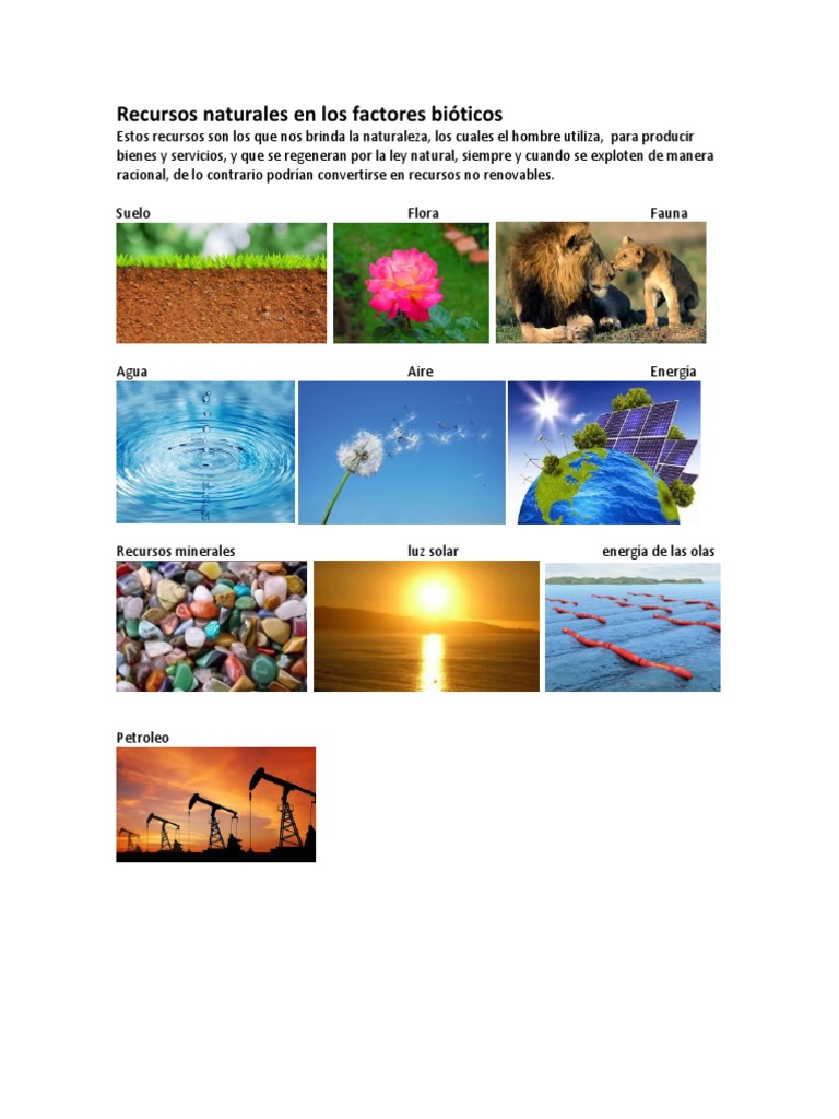Recursos Naturales en Los Factores Bióticos | PDF