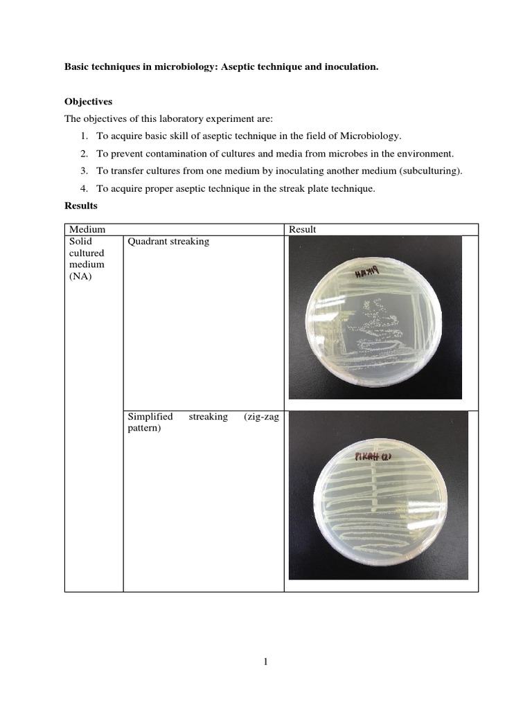 Basic Techniques in Microbiology: Aseptic Technique and Inoculation ...