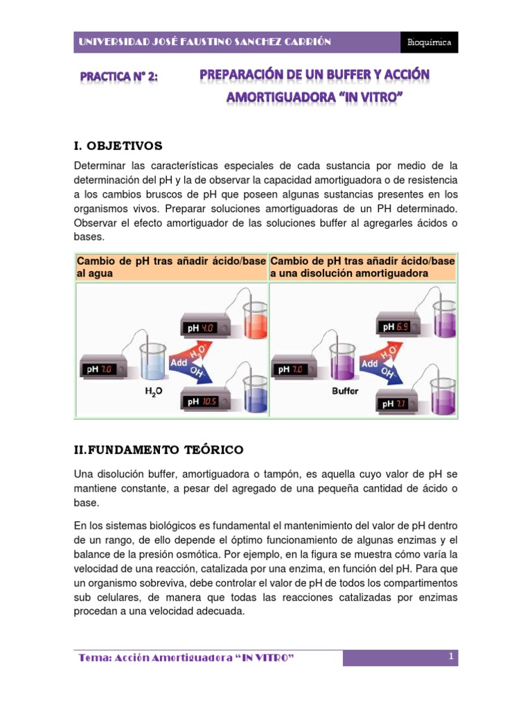 Bioquimica Practica n2 Informes | PDF | Solución tampón | Ph