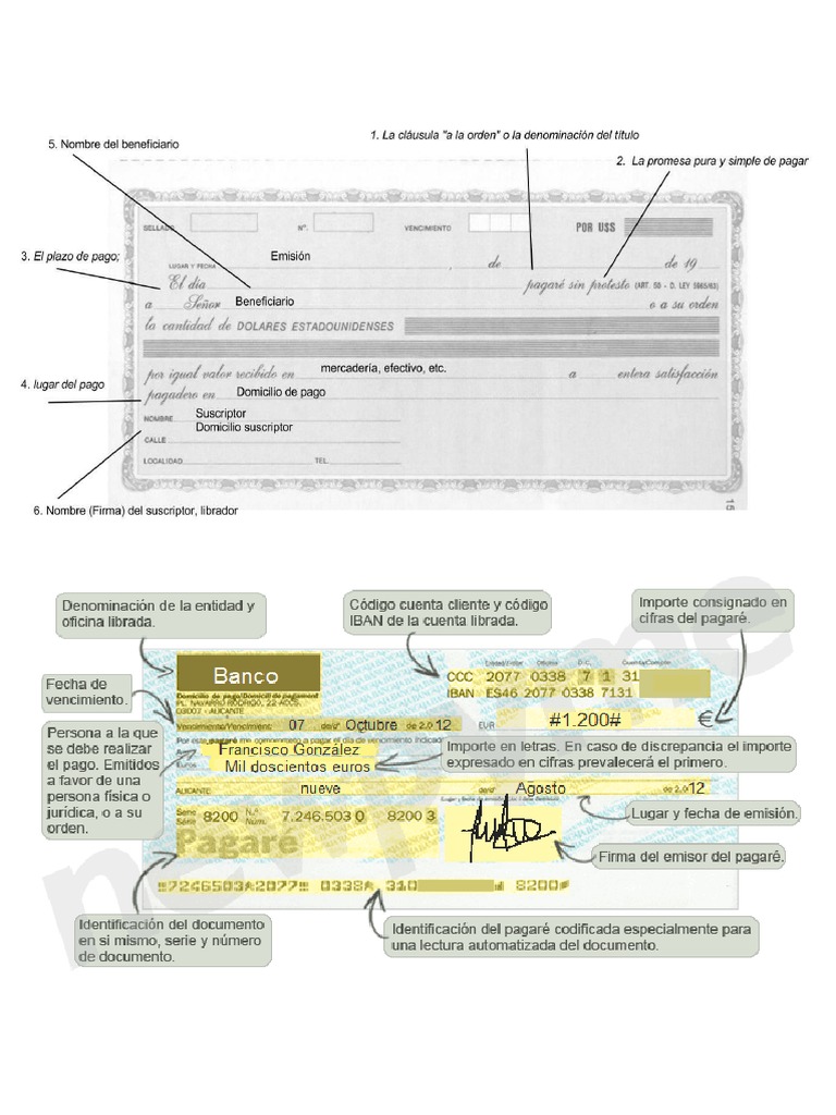 Pagare Y Sus Partes Imagenes Pdf