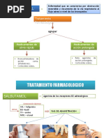 CAPÍTULO 17 - Prurigo Por Insectos (Cimiciasis) | PDF | Insecticida ...