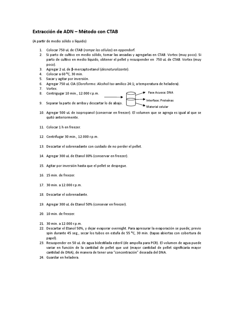 Extracción de ADN - Método CTAB | PDF