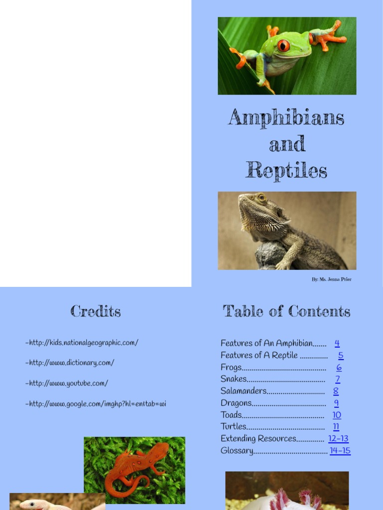 Amphibians and Reptiles | PDF | Amphibian | Frog