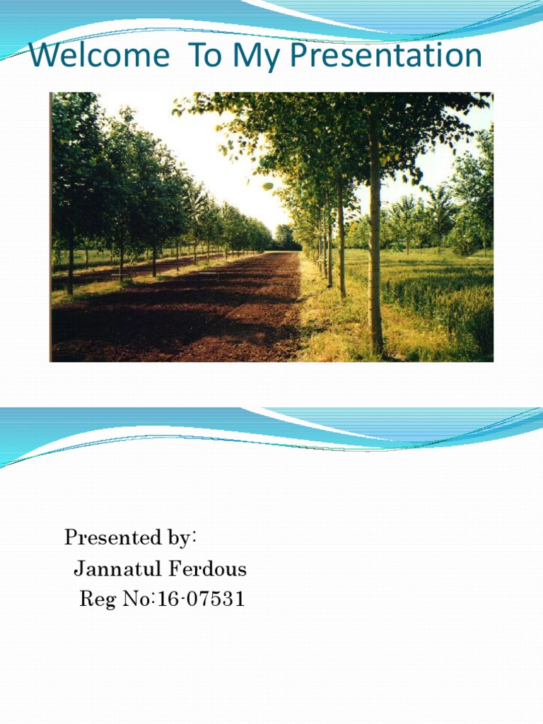 Agroforestry: Objectives and Implications | PDF | Agriculture | Soil