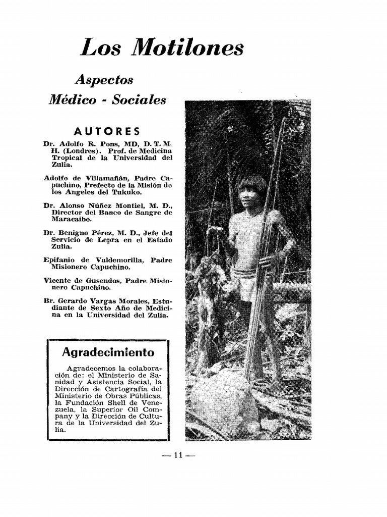 Los Motilón - Barí | PDF | Venezuela | Arco y flecha