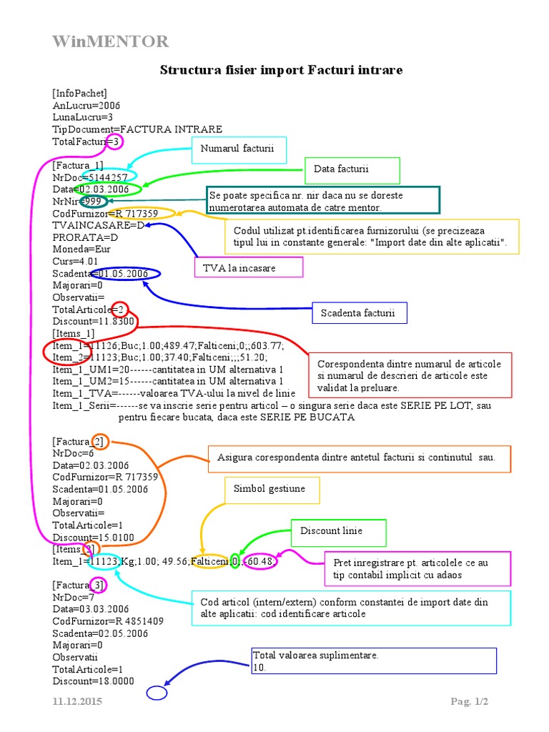 Facturi de Intrare PDF | PDF