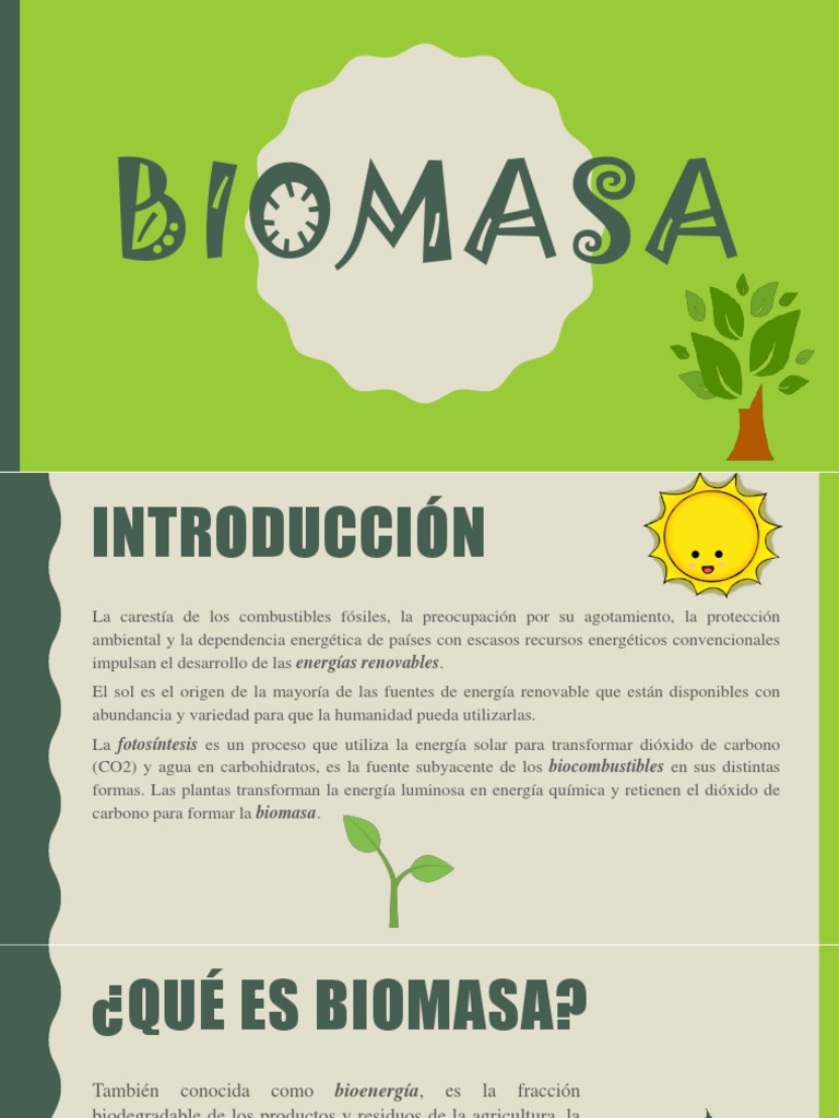 BIOMASA | PDF | Biocombustible | Biomasa