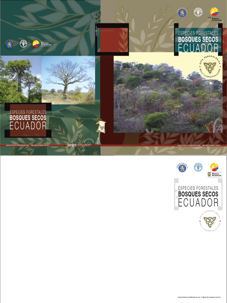 Especies Forestales Bosques Secos Del Ecuador | Los bosques | Ecuador