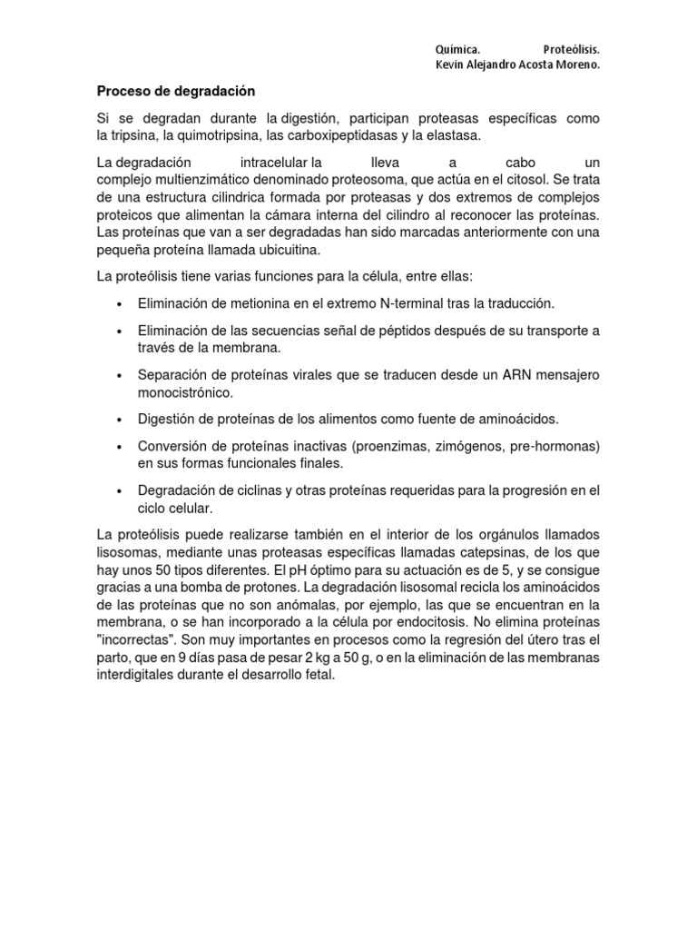 Proceso de Degradación: Química. Proteólisis. Kevin Alejandro Acosta ...