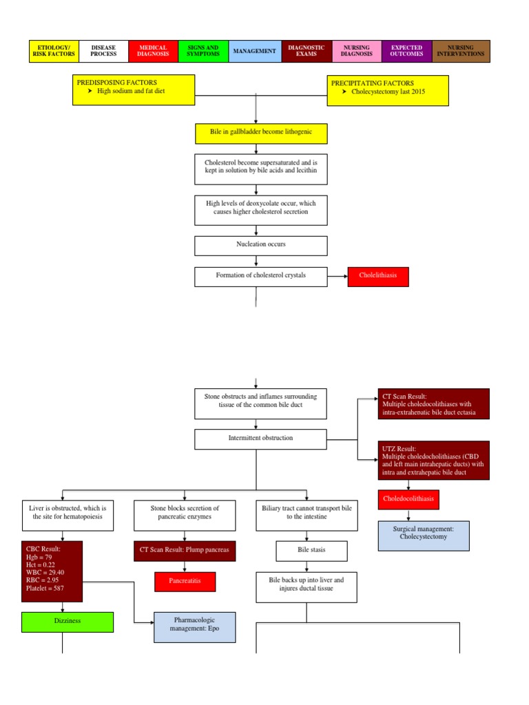 Pathophysiology | Obstructive Jaundice | Bile | Exocrine System