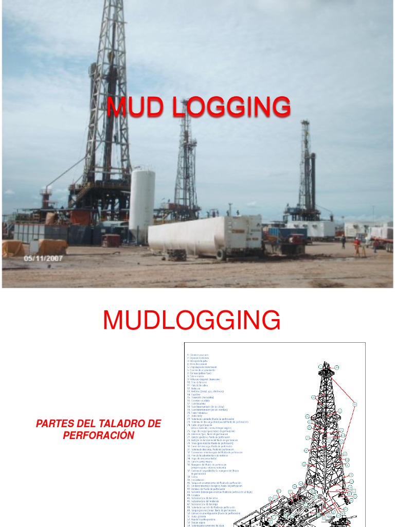 Charla Sobre El Mud Logging | PDF | Caliza | Calidad (comercial)