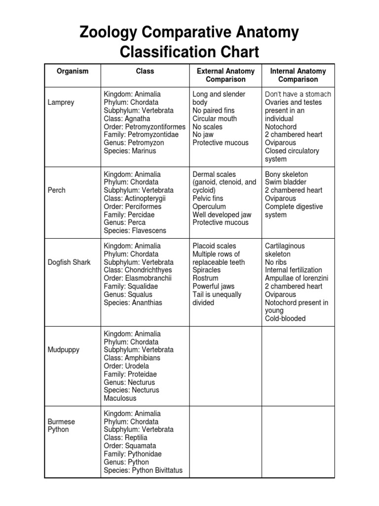 Zoology Comparative Anatomy Classification Chart 2 | PDF | Aquatic ...