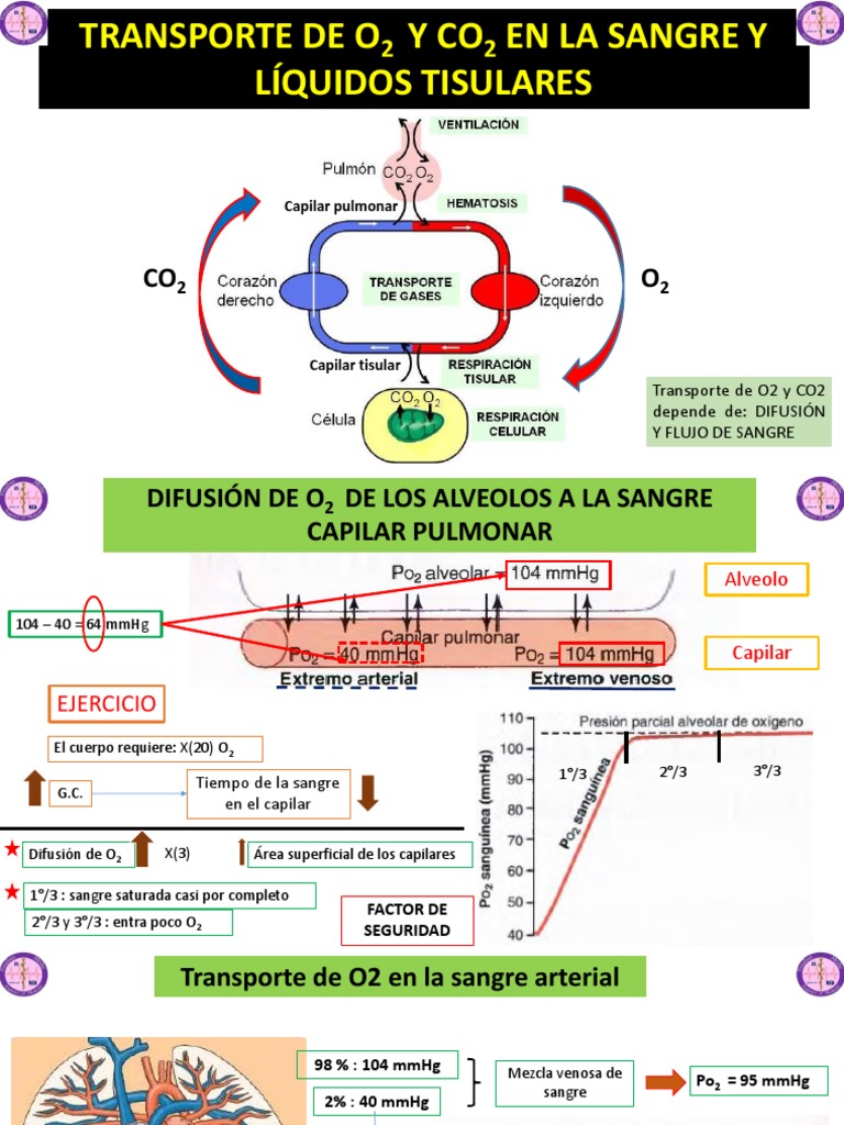 Transporte de O2 y Co2 | PDF | Sangre | Capilar