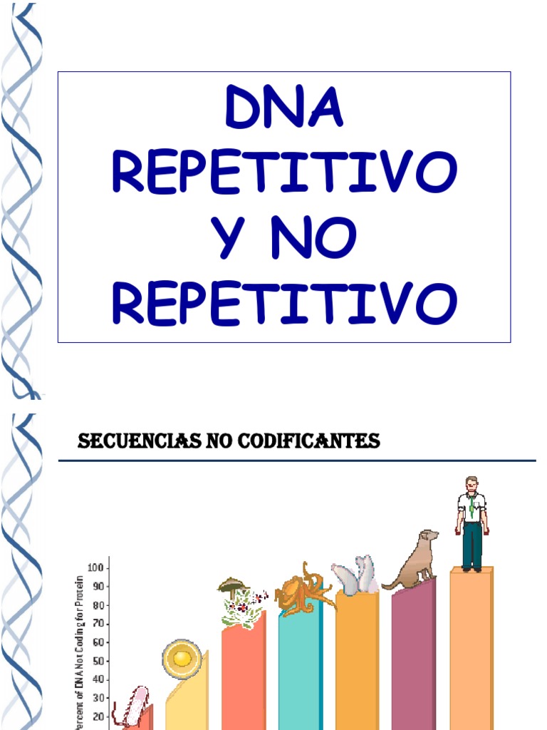 Características del ADN Repetitivo | PDF | Genoma humano | Microsatélite