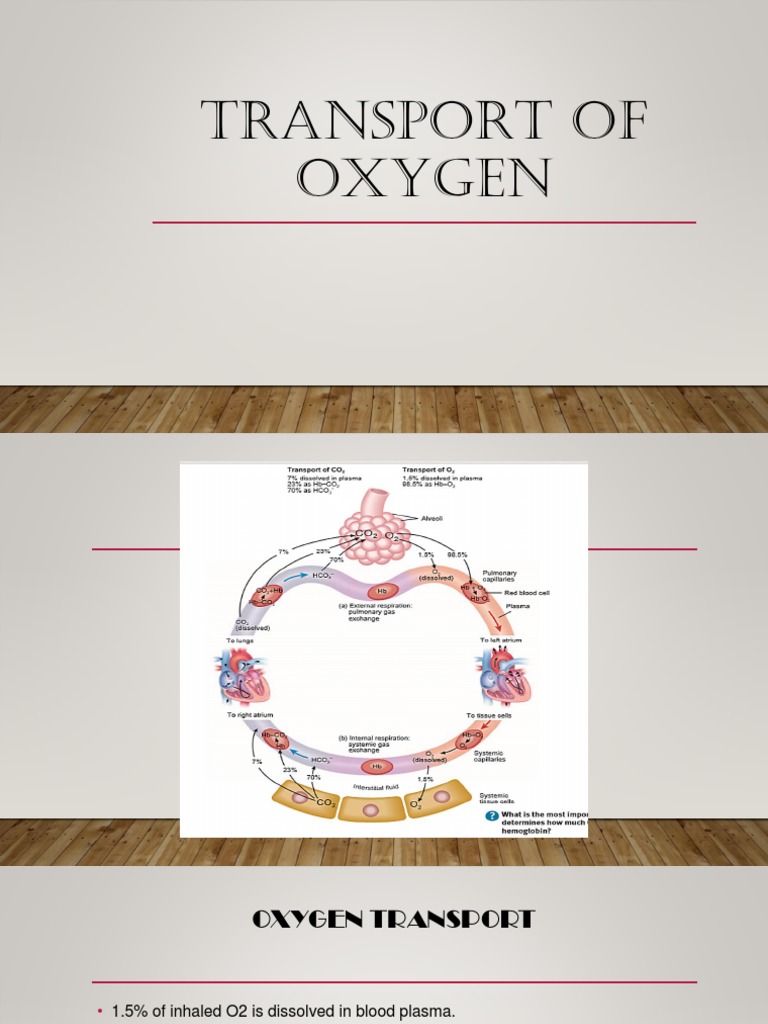 Transport of Oxygen | PDF | Hemoglobin | Blood