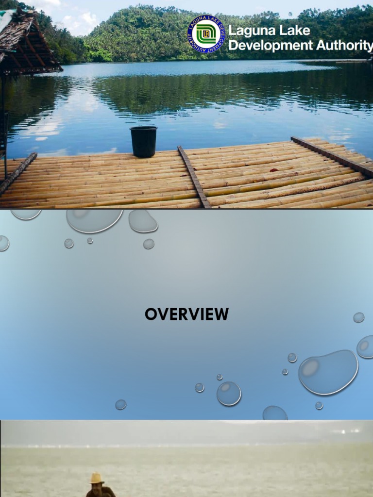 Laguna Lake Development Authority Overview | PDF | Clean Water Act | Water