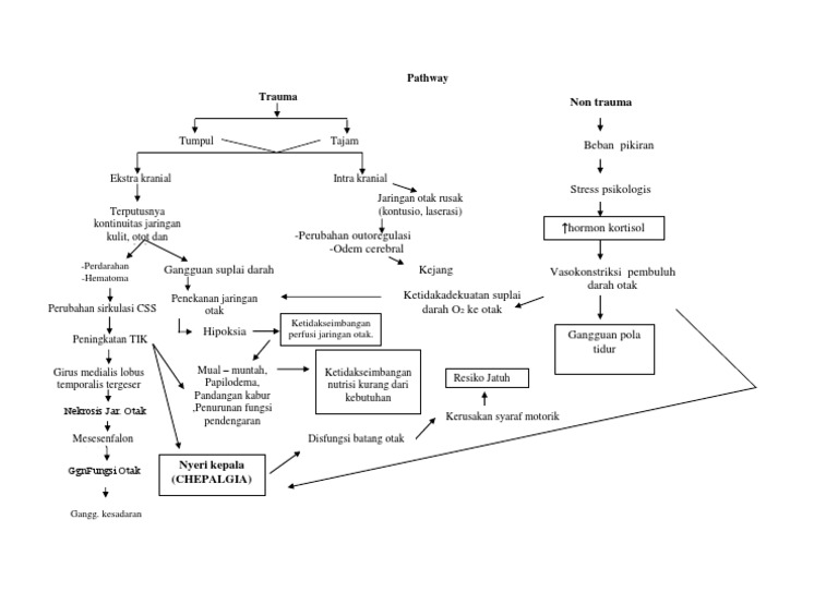 Pathway Chepalgia | PDF