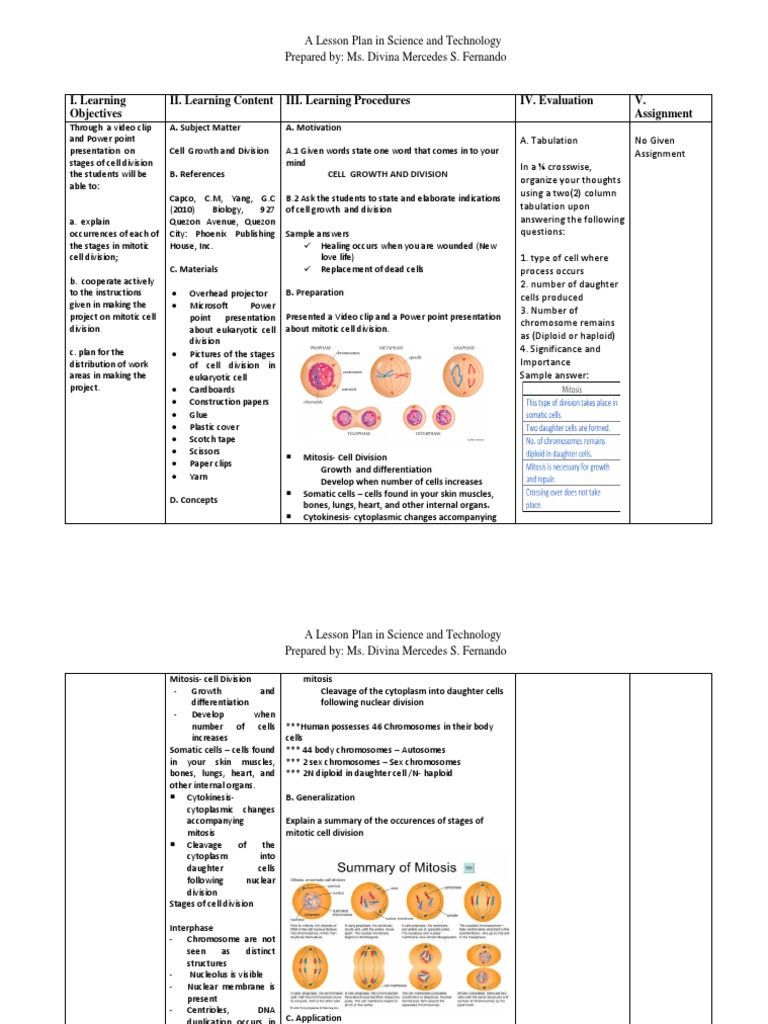 Lesson Plan in Mitosis | Download Free PDF | Mitosis | Cell Growth