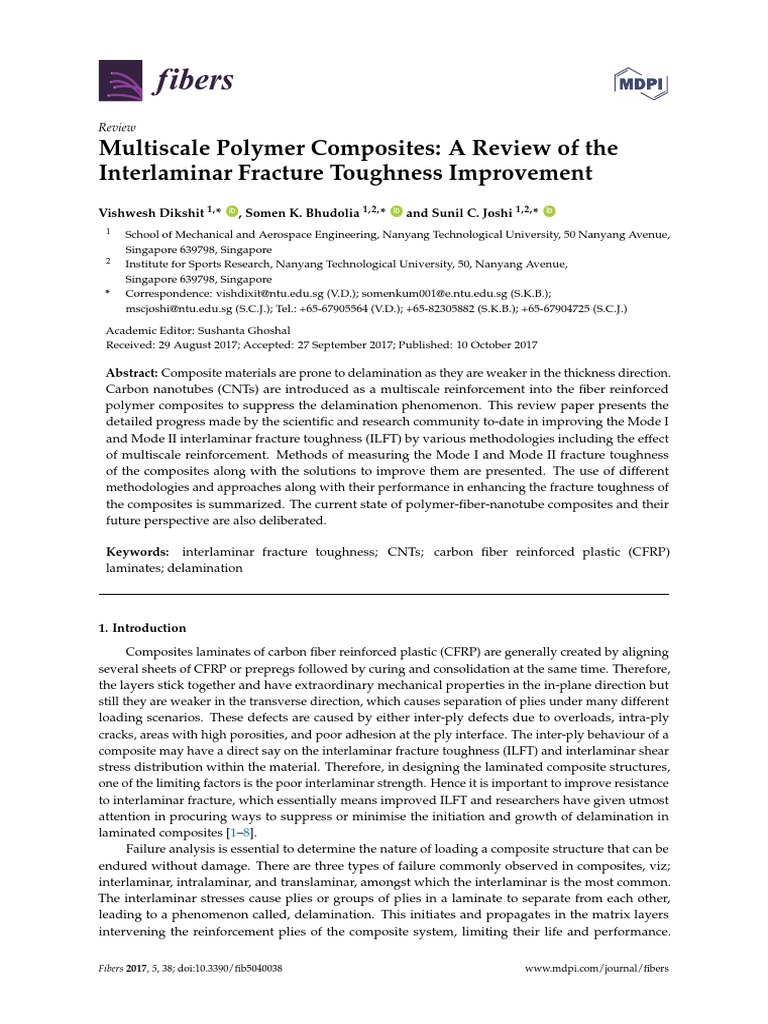 2017 - Multiscale Polymer Composites A Review of The Interlaminar ...