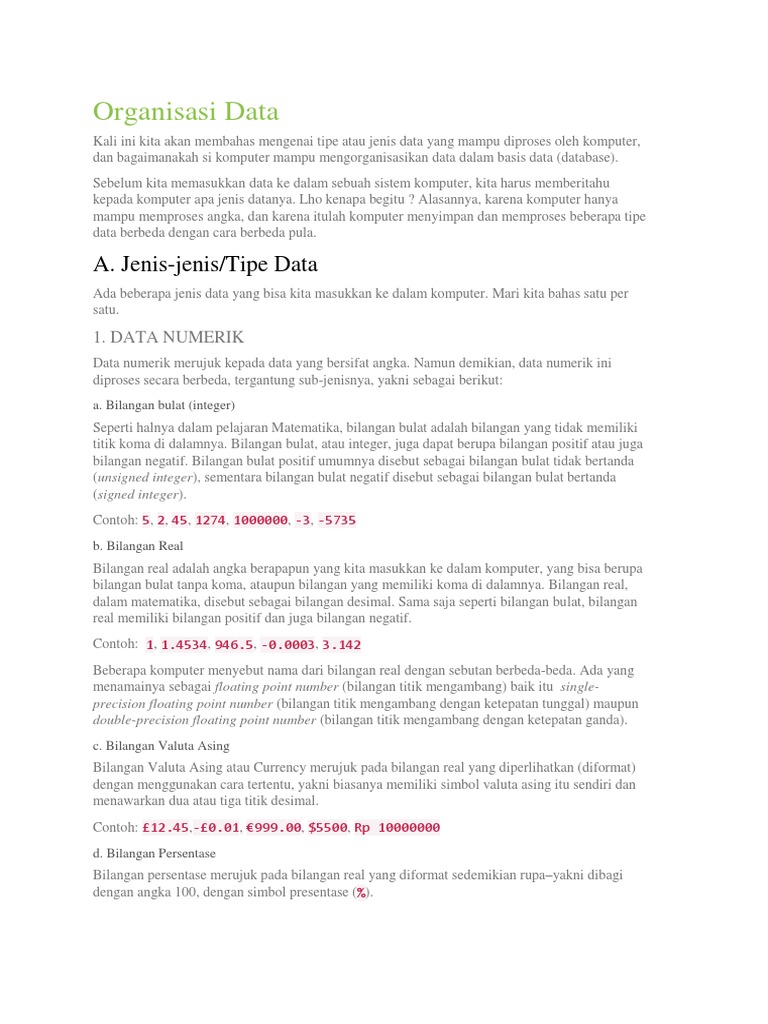 Organisasi Data: A. Jenis-jenis/Tipe Data | PDF