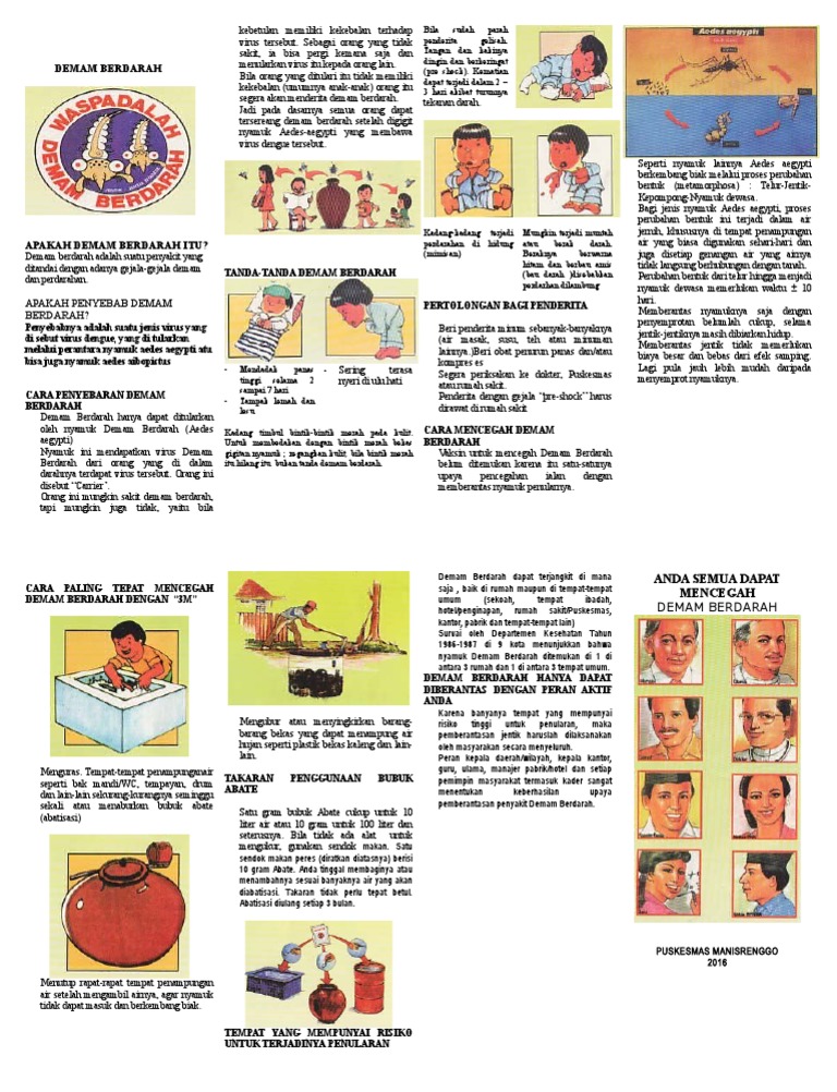 Leaflet Demam Berdarah | PDF