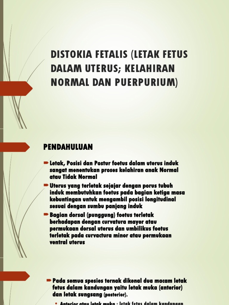 7. Distokia Fetalis (Letak Fetus Dalam Uterus