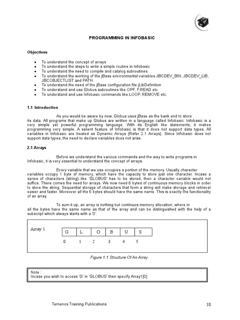 Programming In Infobasic Objectives Pdf Array Data Structure Control Flow
